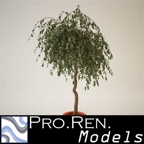 Interiors Plants Free 3d Models Download Free3d