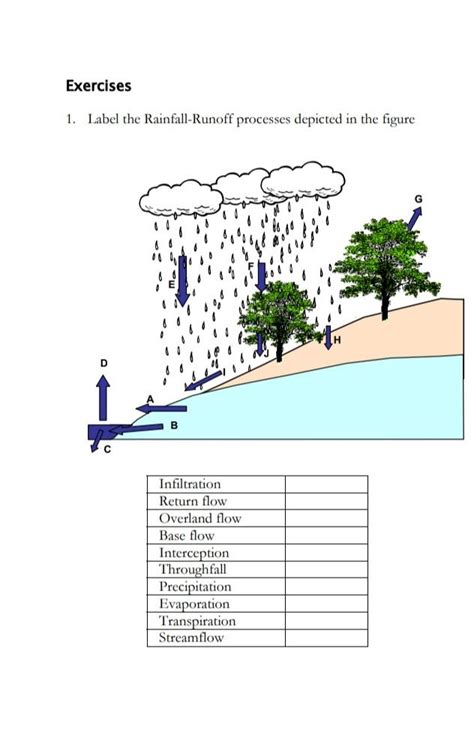 Solved Exercises 1 Label The Rainfall Runoff Processes Chegg Com