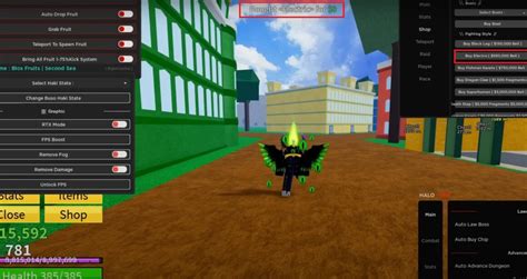 How To Use The HoHo Hub Script In Blox Fruits The Nature Hero