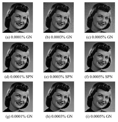 Robustness Test Results Against Noise Attack For Girl Download Scientific Diagram