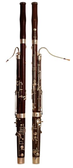 Bassoon Quiz Questions And Answers Go 4 Quiz