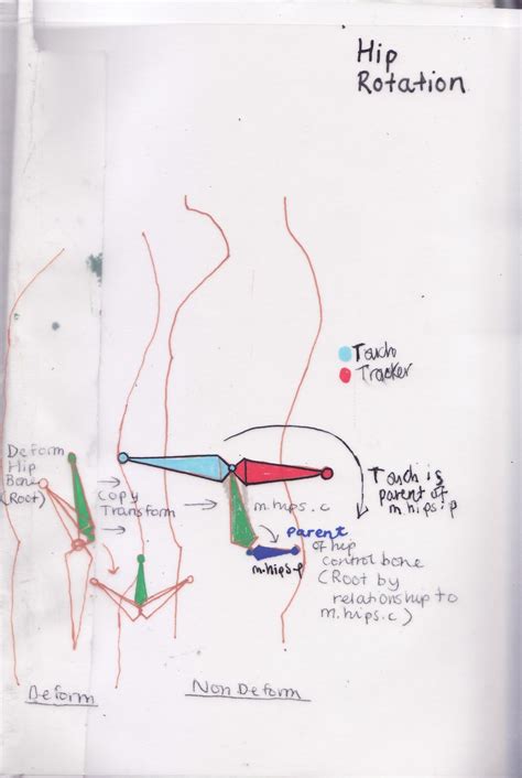 Rigging Help Animation And Rigging Blender Artists Community