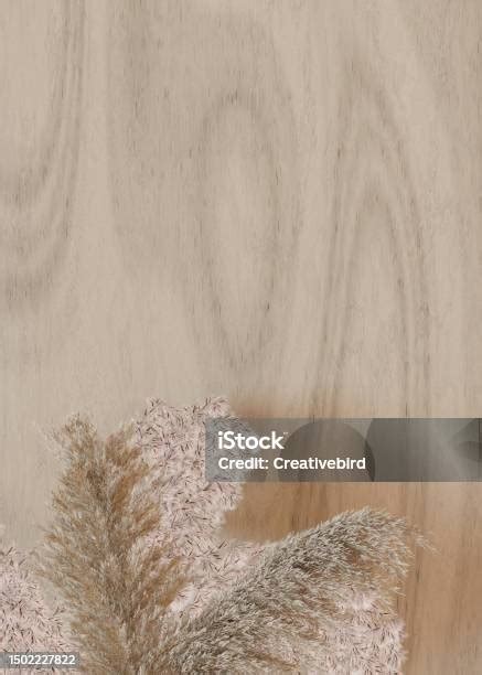 세로 배경에는 마른 식물과 텍스트를 위한 빈 공간이 있습니다 복사 공간이 있는 아래쪽 테두리 현실적인 팜파스 잔디입니다 3d