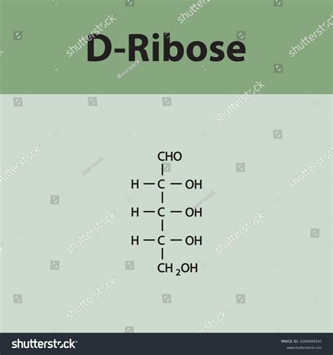 Straight Chain Form Chemical Structure Dribose Stock Vector Royalty Straight Chain Form Chemical Structure Dribose Stock Vector Royalty