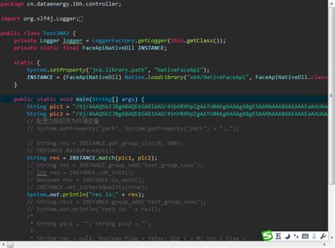 Java调用人脸识别离线sdk Windows版