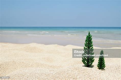 푸른 바다와 하늘 복사 공간 배경 모래 해변에서 두 인공 크리스마스 트리 0명에 대한 스톡 사진 및 기타 이미지 0명 겨울 계절 Istock