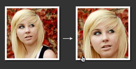10 Easy Image Hover Effects You Can Copy And Paste Design Shack