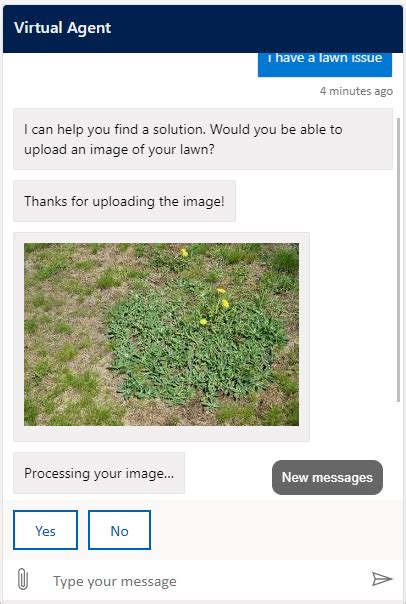 Customize The Look And Feel Of An Agent Microsoft Copilot Studio Microsoft Learn