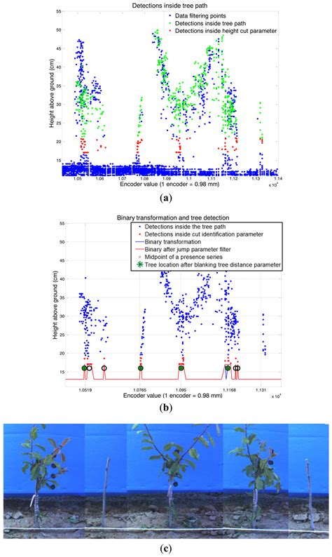 Sensors Free Full Text Active Optical Sensors For Tree Stem