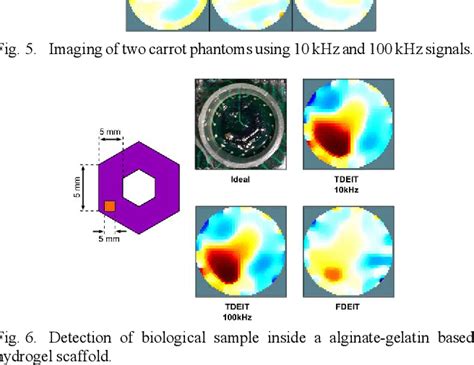 Figure 1 From Impedance Tomographic Sensor For Monitoring Bioprinted