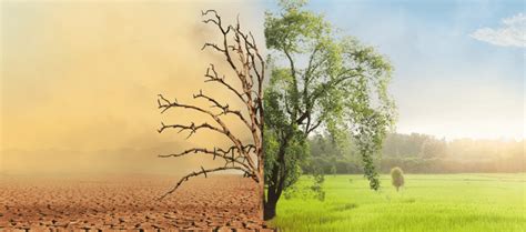 Klimaatverandering Zorgt Voor Conflicten Tenzij