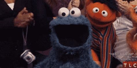 When All My Unit Tests Successfully Passed The Coding Love