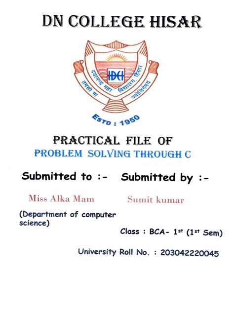 C Practical File Pdf