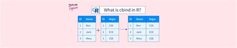 What Is Cbind In R Scaler Topics