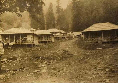 ლებარდე • Lebarde Added A New Photo ლებარდე • Lebarde