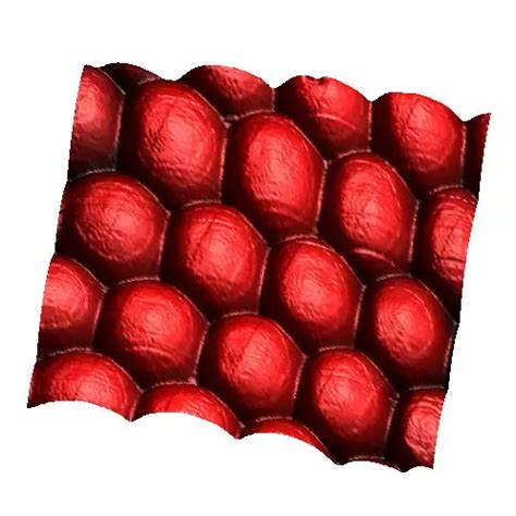 Atomic Force Microscope AFM Definition Principle Application Biology Notes Online