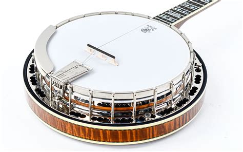 Deering Calico 5 String Banjo Stringed Instrument For Sale The Fellowship Of Acoustics