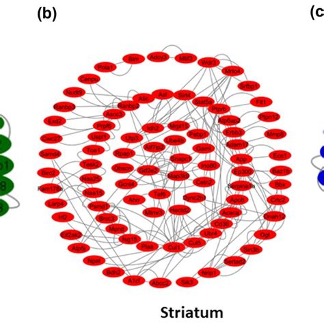 Clustering Analysis “developmental Process” Was Enriched In The Three