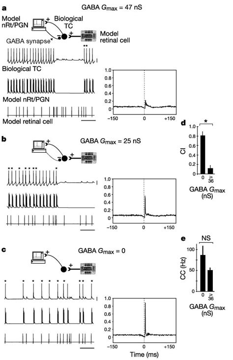 The Strength Of Inhibition Regulates Temporal Correlation Between Input Download Scientific
