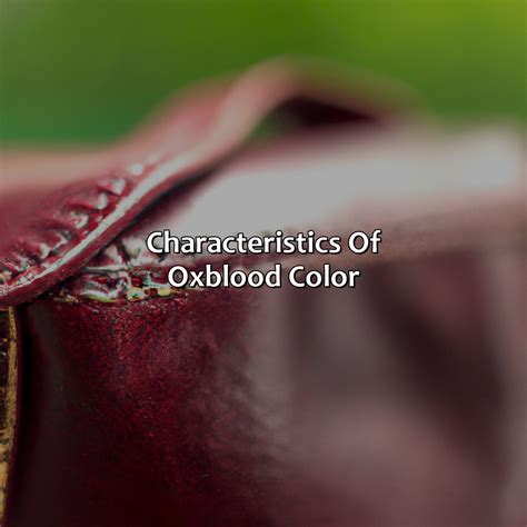 What Color Is Oxblood
