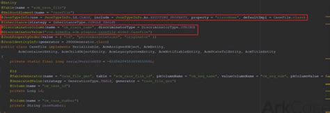 Entity Class Arkcase