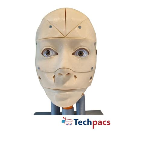 Esp32 Powered Robot For Ai Based Face Mirroring And Digital Twin Creation Techpacs Canada Limited