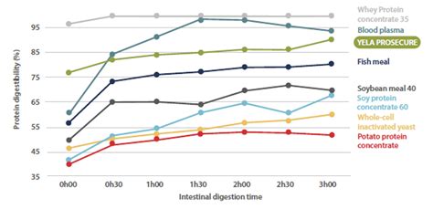 Protein Digestibility A Key Criterion For Discriminating Protein