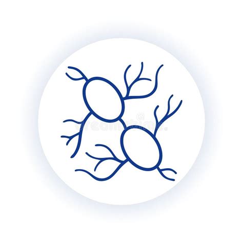 Human Lymph Nodes Stock Illustrations 1565 Human Lymph Nodes Stock