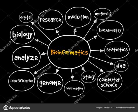 Bioinformatics Mind Map Concept Presentations Reports Stock Vector By ©dizanna 487225776