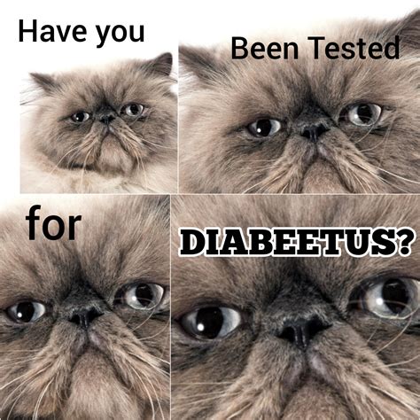 Diabetic Cat Memes Funny Cat Diabetes Cycle Png Afbeelding Door