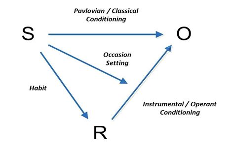 Associative Learning Drravikumar M