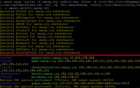 How To Use OWASP Amass An Extensive Tutorial