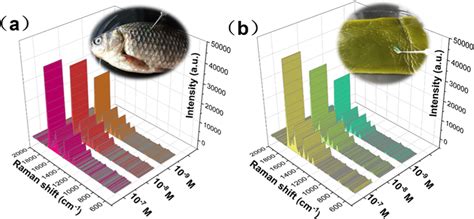 application of dna hydrogel sers biofilm for detecting real aquatic