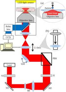 Localized Cell Stiffness Measurement Using Axial Movement Of An