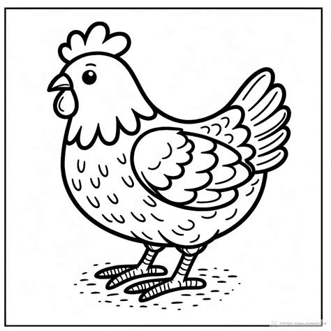 Štítek Slepice Všechny Nalezené Omalovánky