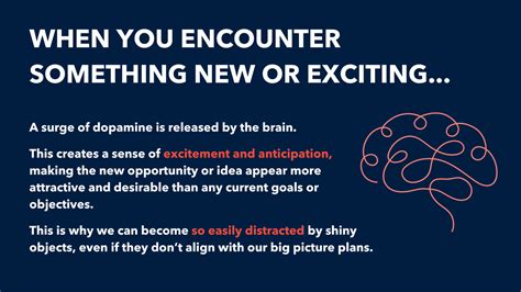 Shiny Object Syndrome The Distraction That Could Derail Your Career — Focuswise