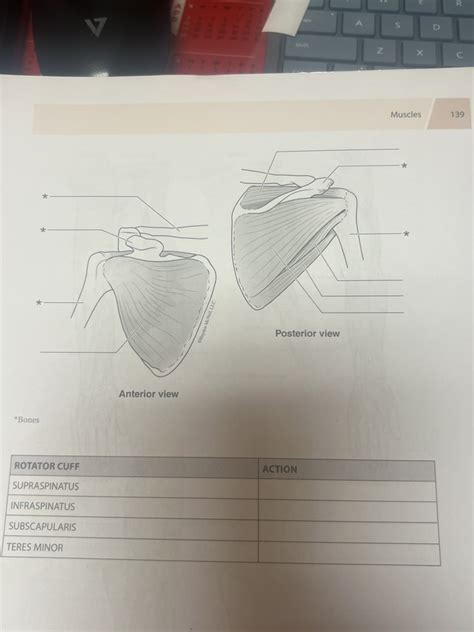 Part C Diagram Quizlet