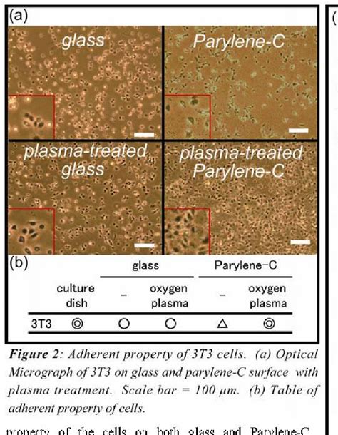 Figure 2 From Arraying Single Adherent Cells By Microplate Self Assembly Semantic Scholar