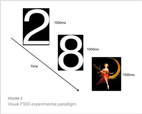 Figure 2 From The Influence Of Cerebellum On Visual Selective Attention