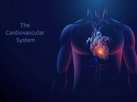 Ephedrine Uses Side Effects And Controversy Old School Labs