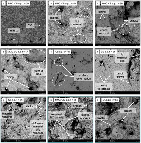 Sem Microstructure Of Samples In Their Initial States And After Tests Download Scientific
