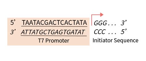 苏州近岸蛋白质科技股份有限公司