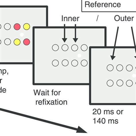 Stimulus Sequence Eight Circle Outlines And Four Color Patches In A Download Scientific