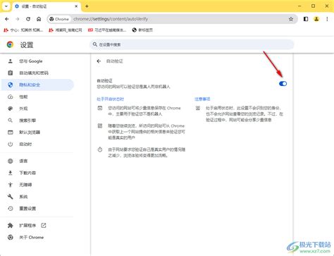 谷歌浏览器如何开启自动验证 谷歌浏览器开启自动验证功能的方法 极光下载站