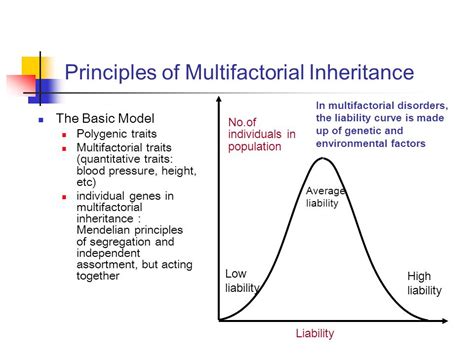 Multifactorial Inheritance
