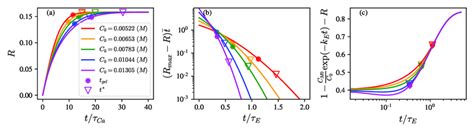 A The Binding Ratio R Solved Via Equation Versus The Download Scientific Diagram