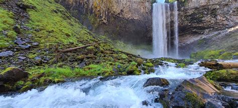 Tamanawas Falls Trail Oregon 7840 Reviews Map Alltrails