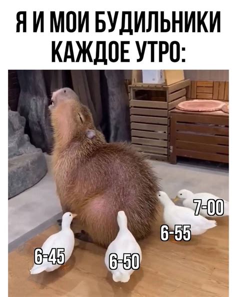 Будильники | Пикабу