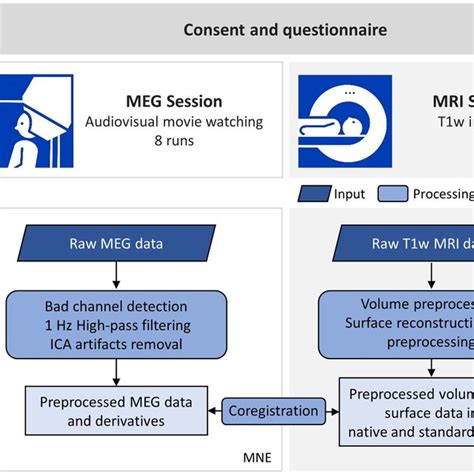 Schematic Of The Data Collection And Preprocessing Procedure Data Schematic Of The Data Collection And Preprocessing Procedure Data