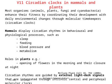 Ppt Ss 2009lecture 11 Biological Sequence Analysis 1 V11 Circadian Clocks In Mammals And